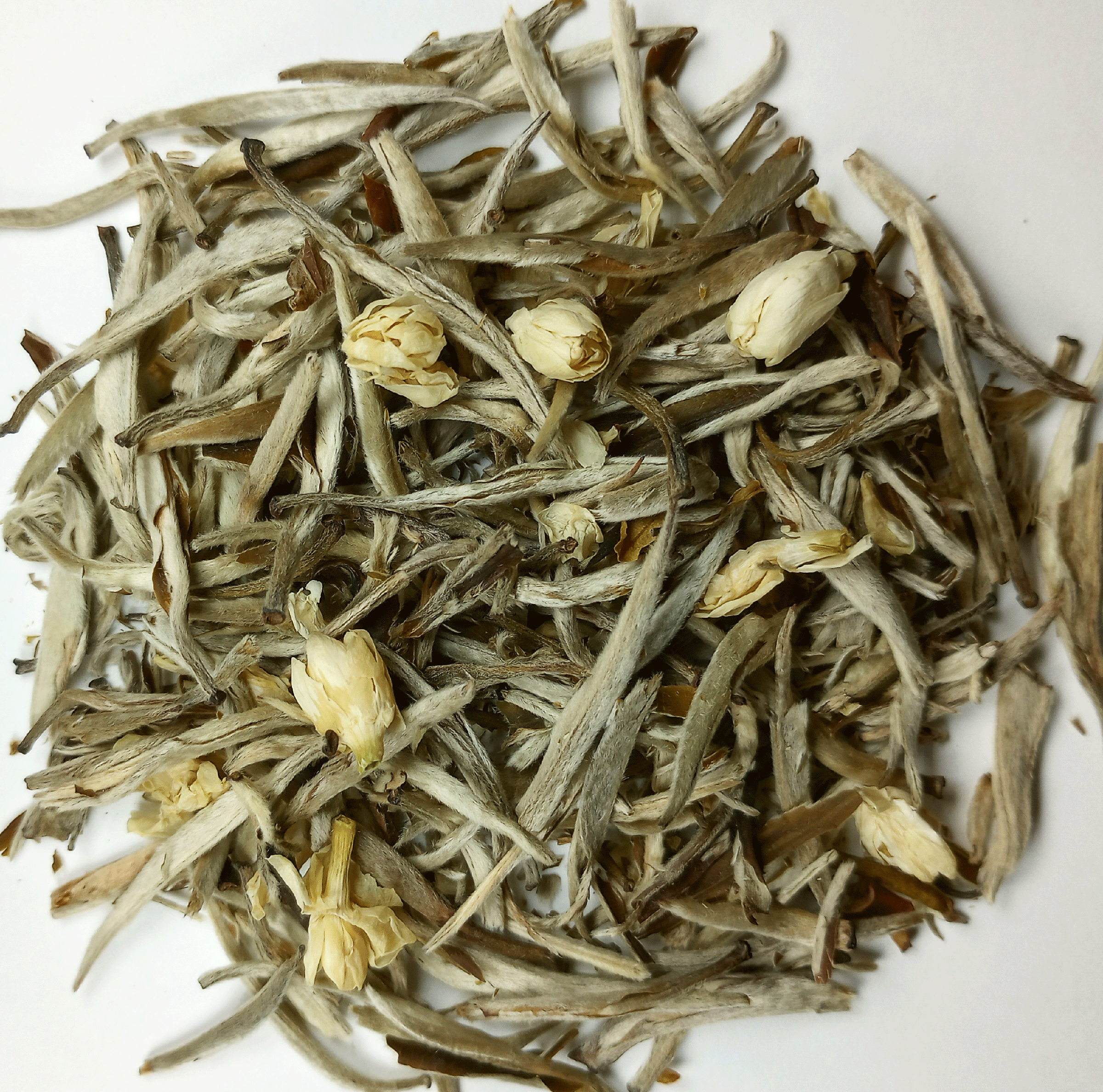 Jasmine Silver Needle | Zhi Tea